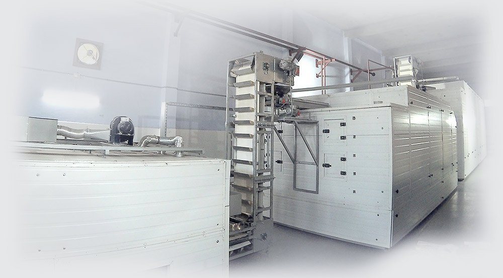Pasta production line - automatic pasta systems | UTF group ...